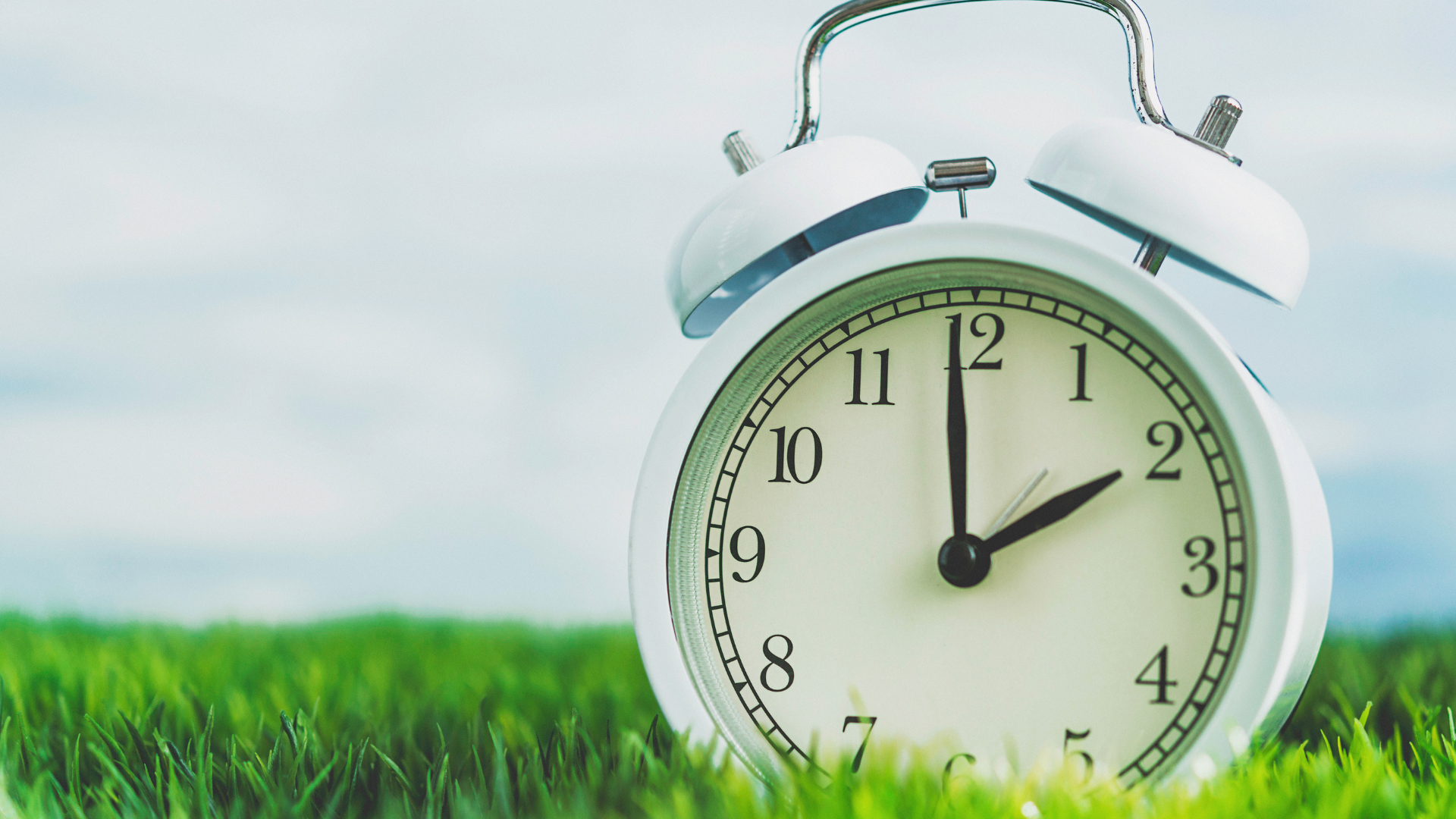 Spring is Here: 1st March vs. Spring Equinox – What’s the Difference ...