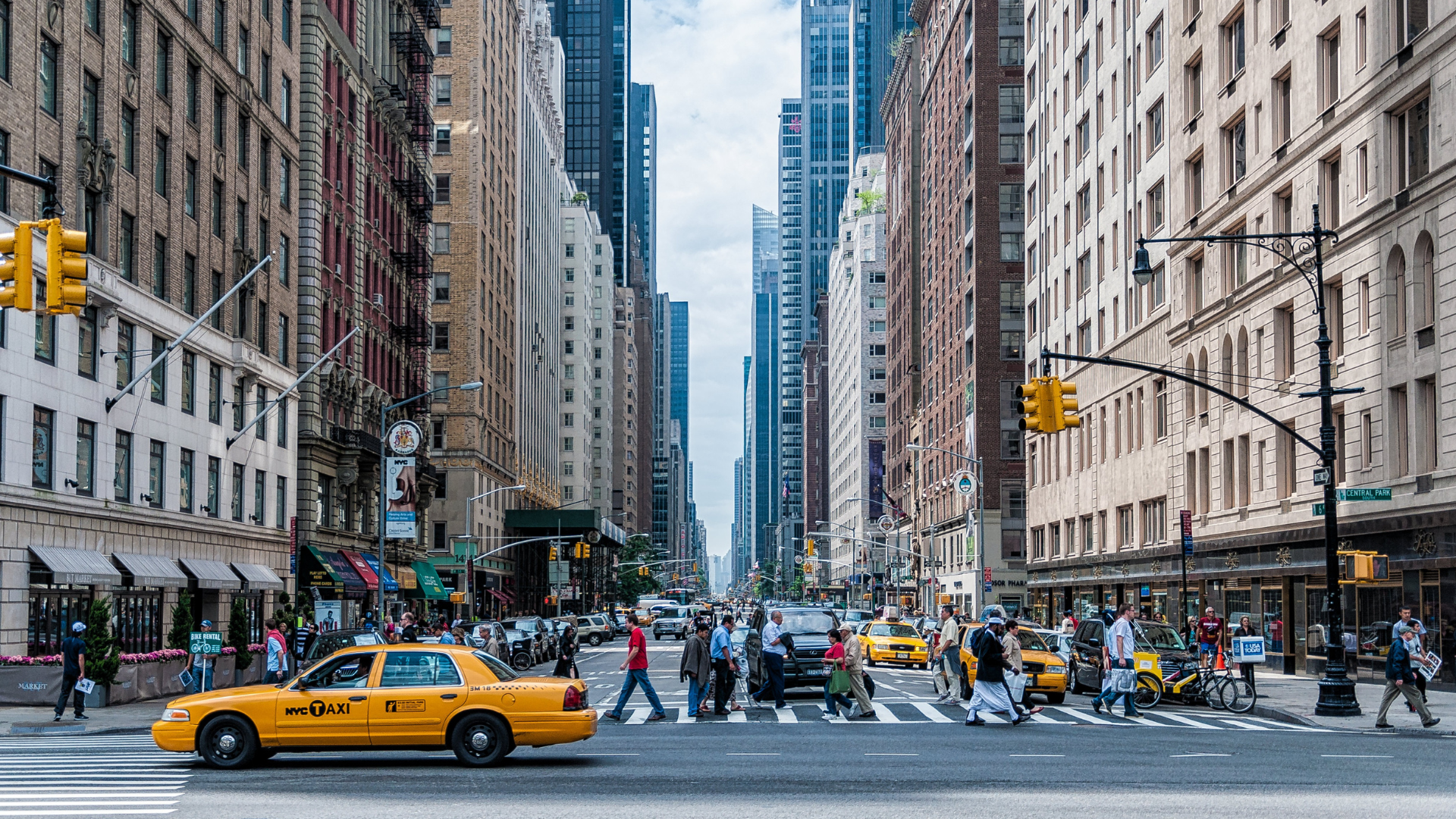 A Guide to Dengue Fever Prevention in New York and New Jersey – Less ...