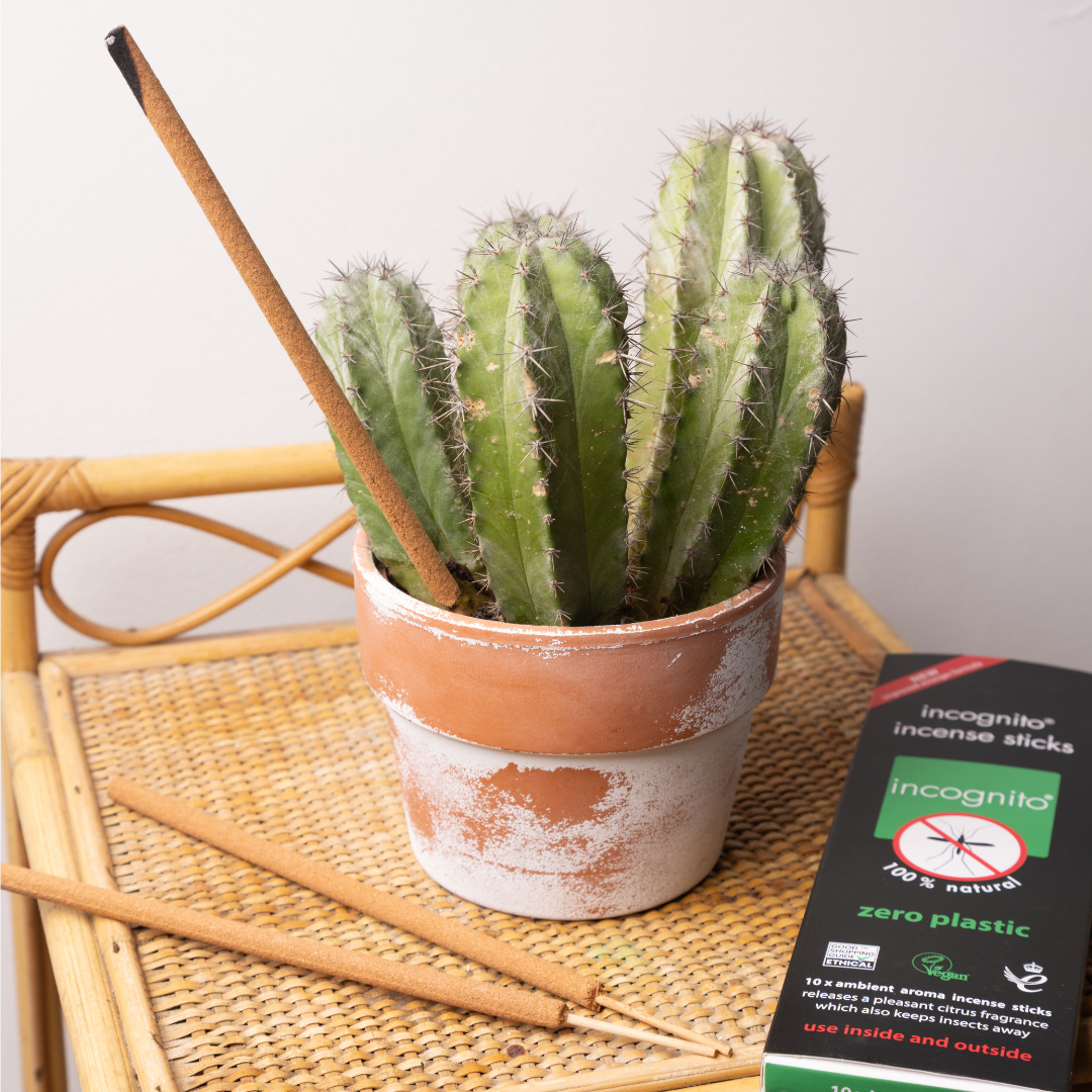 Insect Repellent Incense Sticks | incognito – Less Mosquito